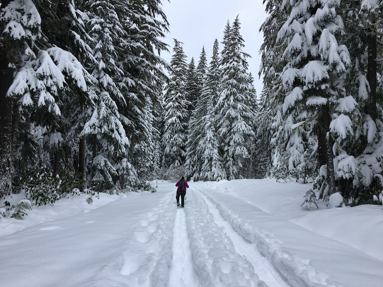 Essential Active Outdoor Gear To Pack For Your Next Snowy Excursion!