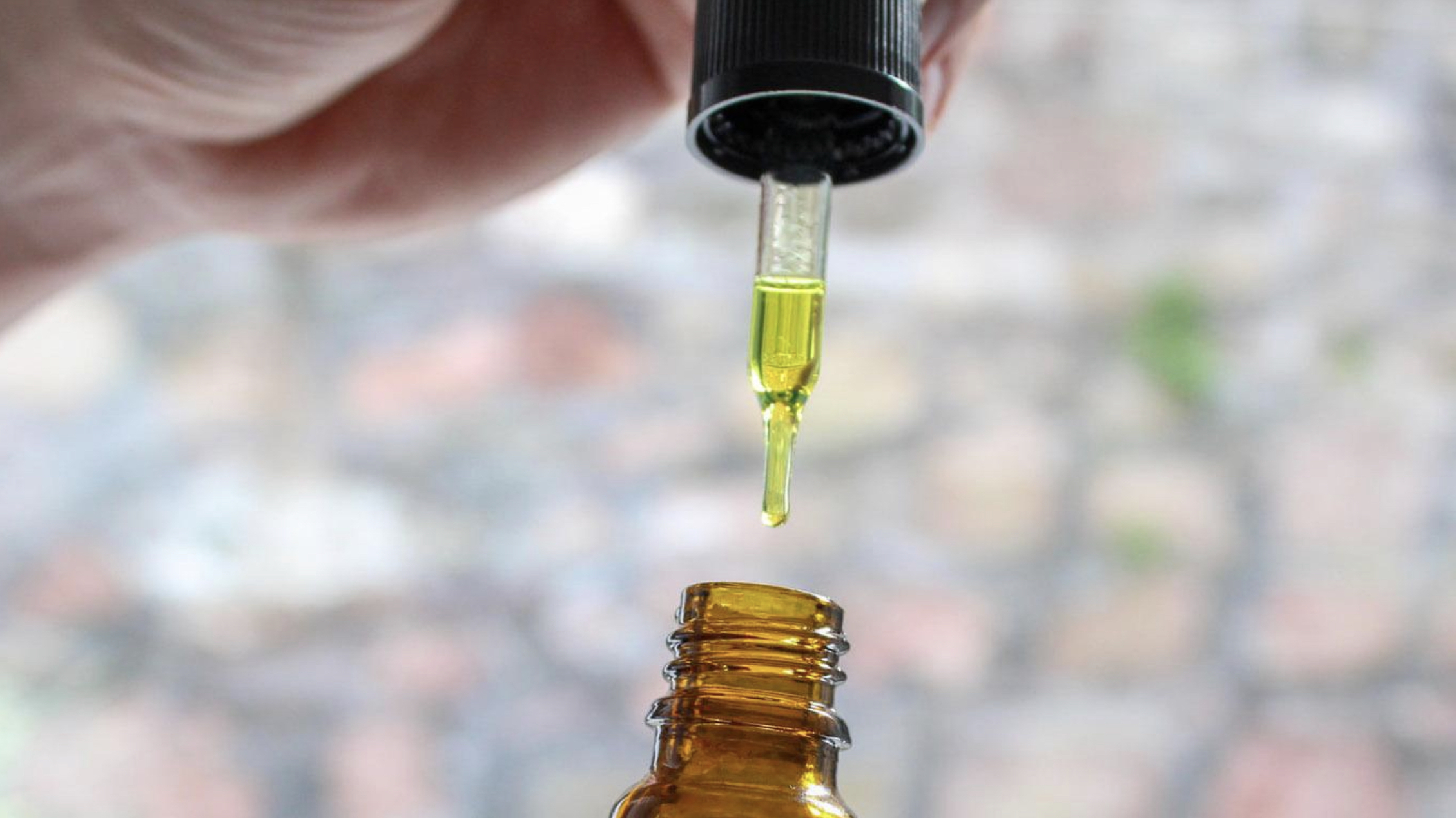 Exploring the Healing Synergy of Cannabis Terpenes & Cannabinoids