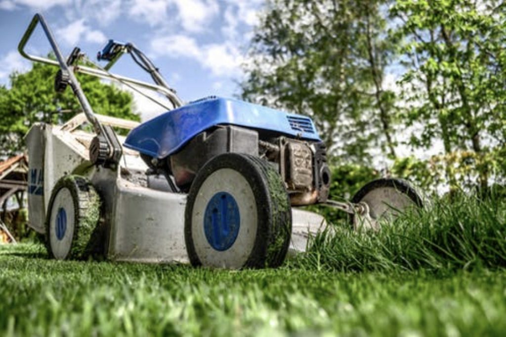 How To Easily Trim Your Lawn