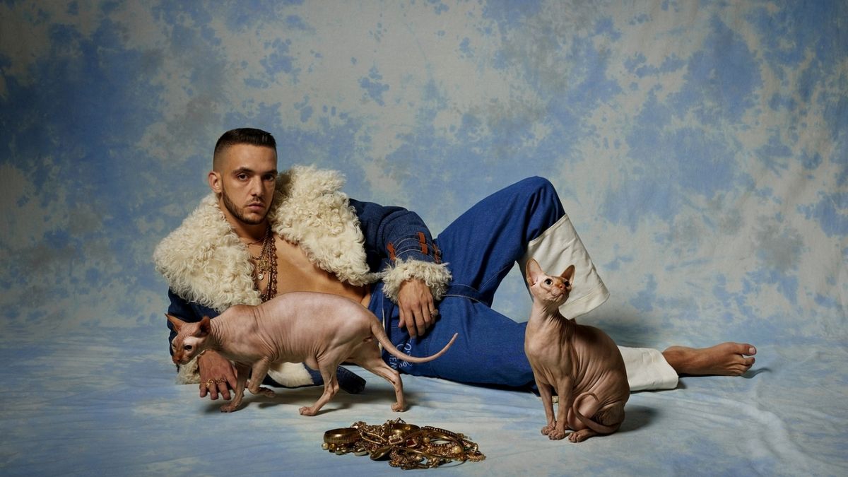 C. Tangana broke the record in Spotify as the best Spanish album release