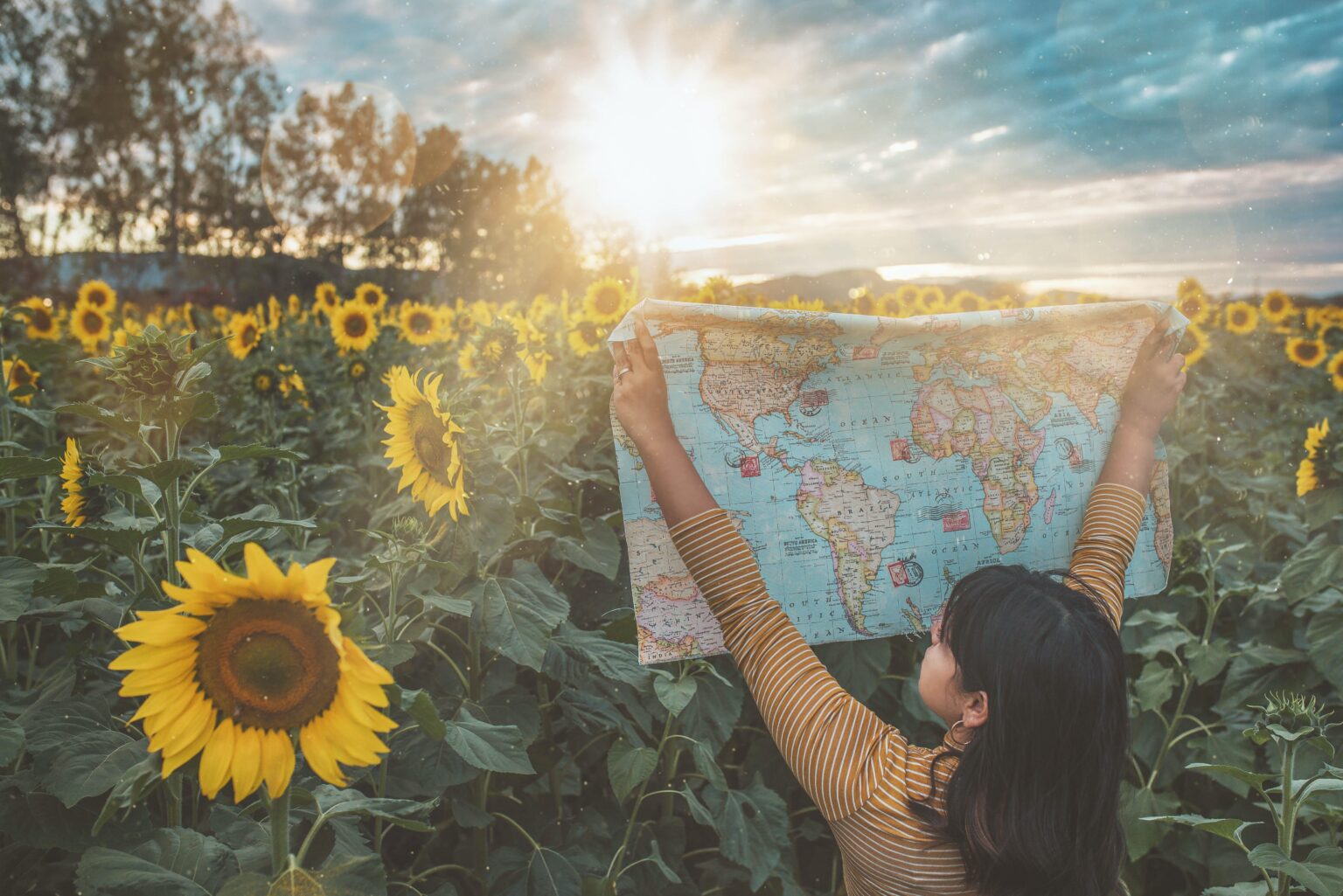 Bibliophiles heaven: five of the world’s most incredible libraries