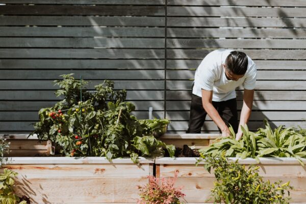 Why Gardening is a Must-Try Hobby for 2021