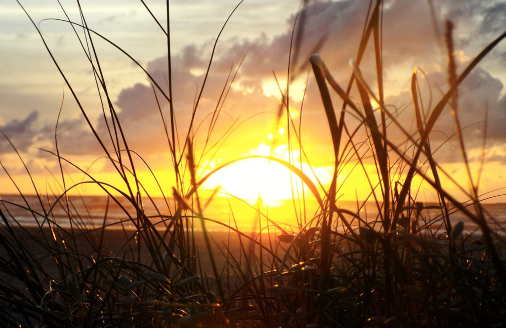 Top Must-Haves to Help Combat Autumn Stress & Anxiety