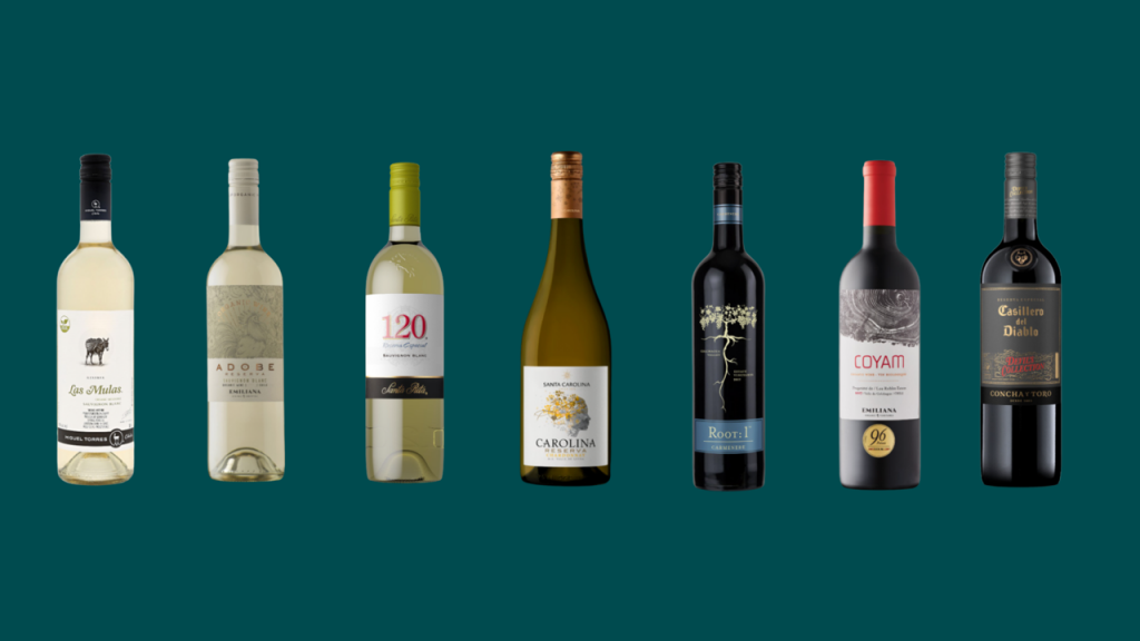 Five Reasons Your Next Bottle of Wine Should be from Chile