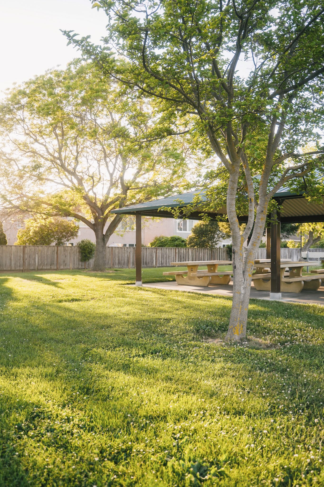 How To Prepare Your Backyard for The Summer