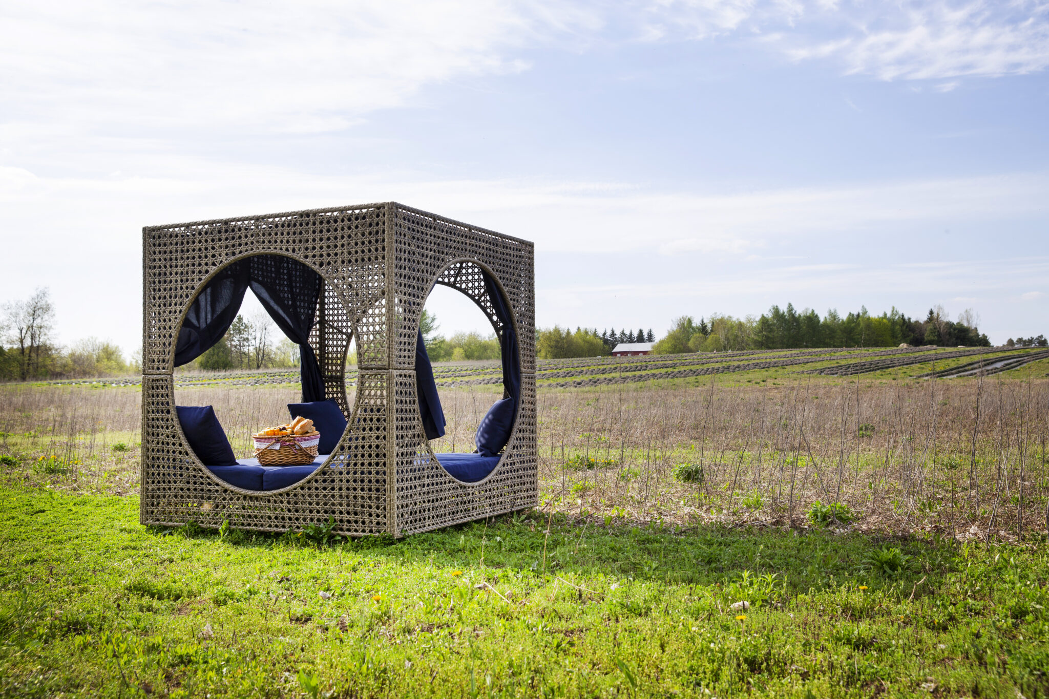Celebrate National Lavender Day At Ontario’s Newest Lavender Field
