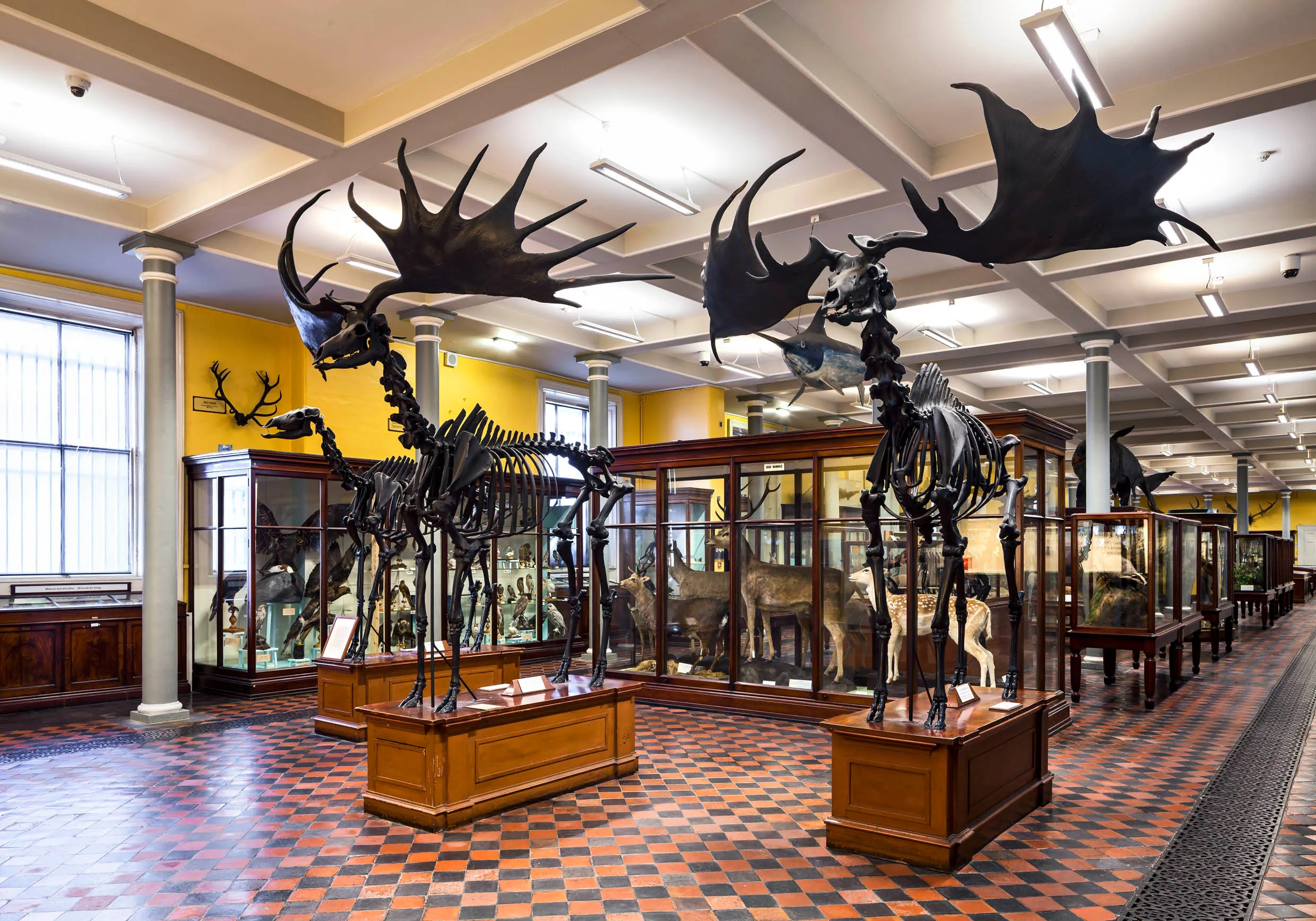 The 6 Best Museums in Dublin for History Fans