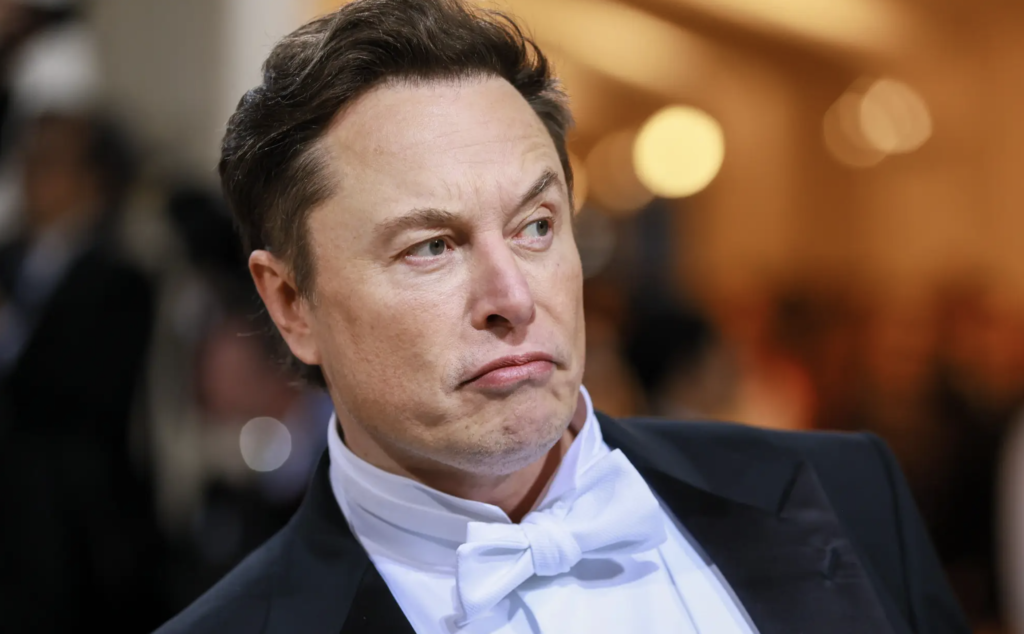 Elon Musk Italy