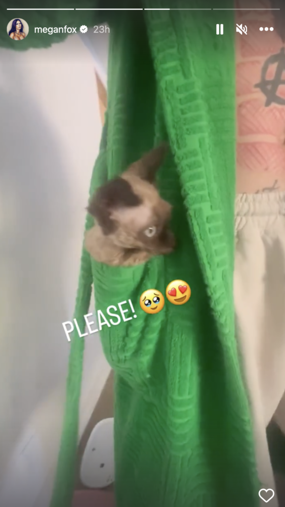 Megan Fox Instagram New Look