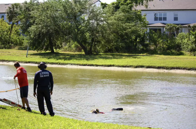 2 Year Old Boy Alligator Incident