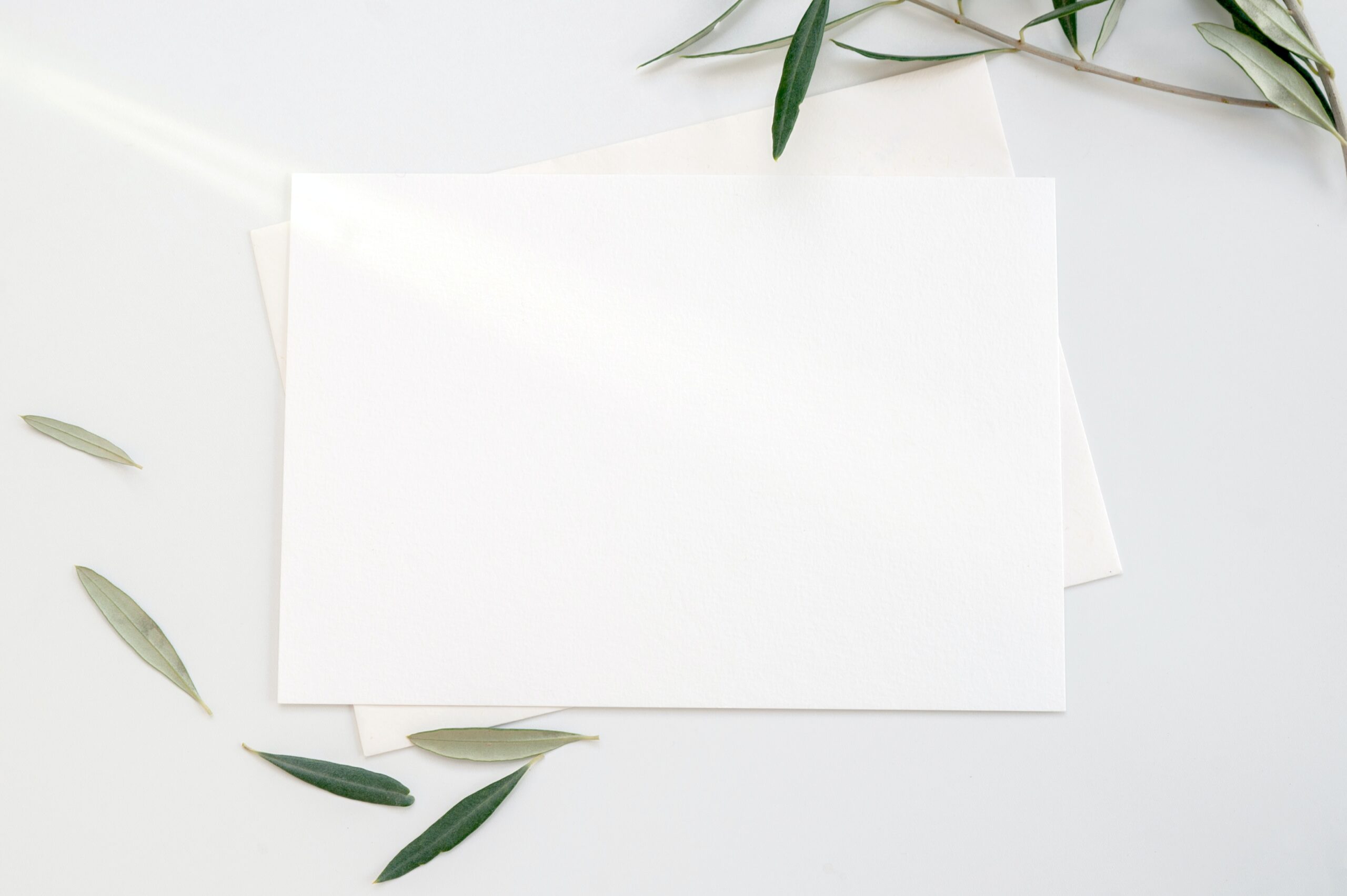 What is a White Paper?