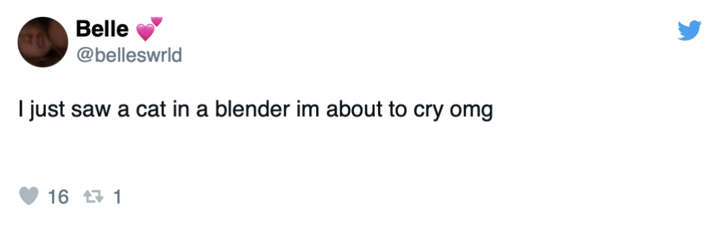 Cat In Blender Video