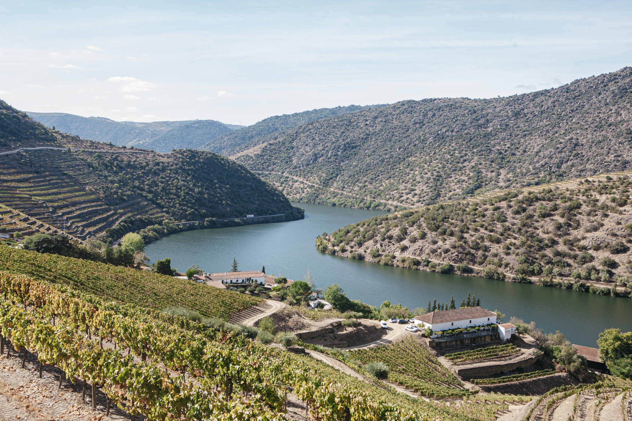 A Virtual Trip to Porto With Taylor Fladgate