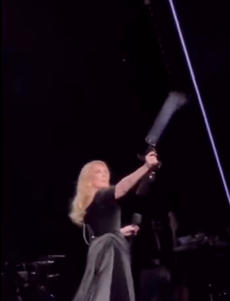 Adele Addressed People Throwing Objects on Stage During Concerts