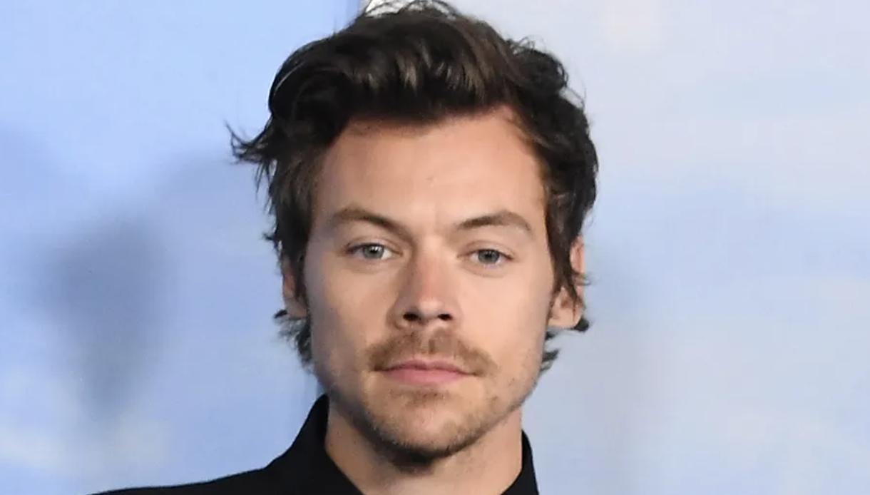 Harry Styles New Girlfriend? Rumours Addressed