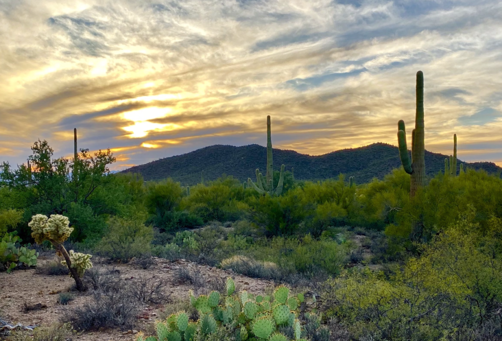 An Adventure Lover’s Guide To Exploring Arizona