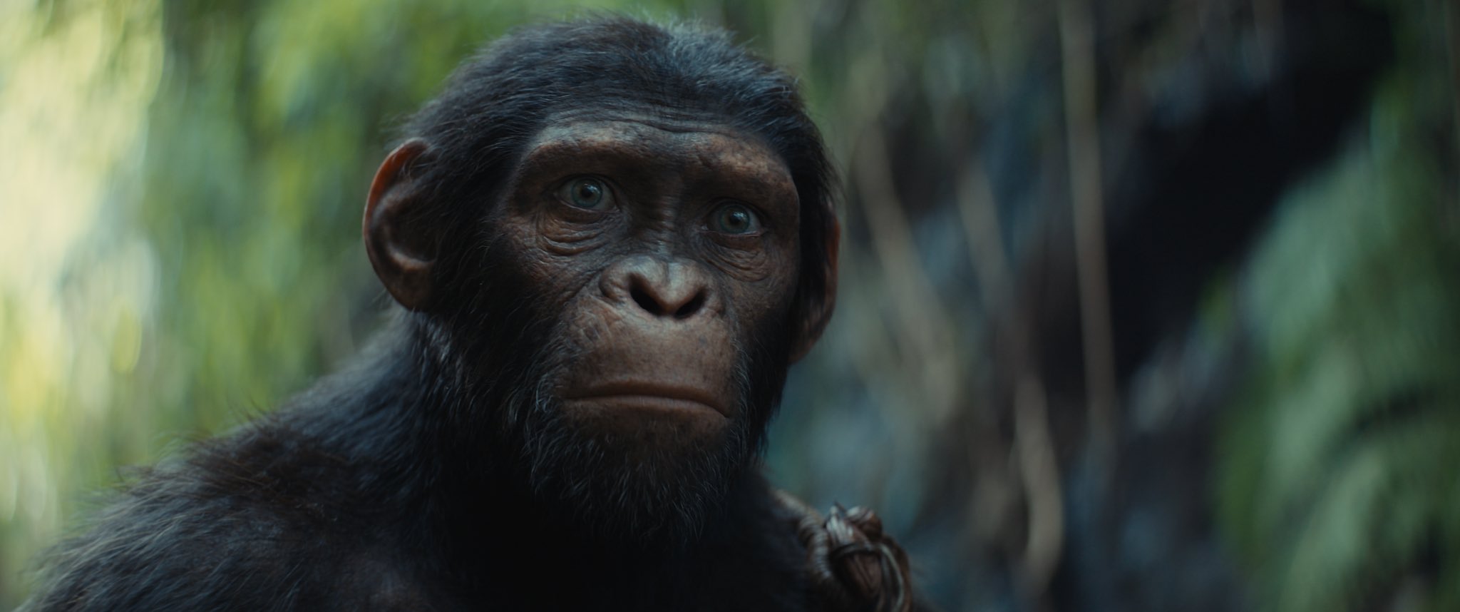 “Kingdom Of The Planet Of The Apes” Teaser Trailer Is Out Now