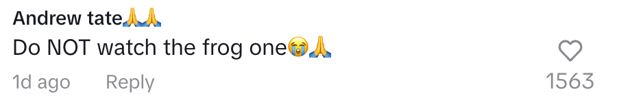 Frog Video Girl Twitter Video Explained