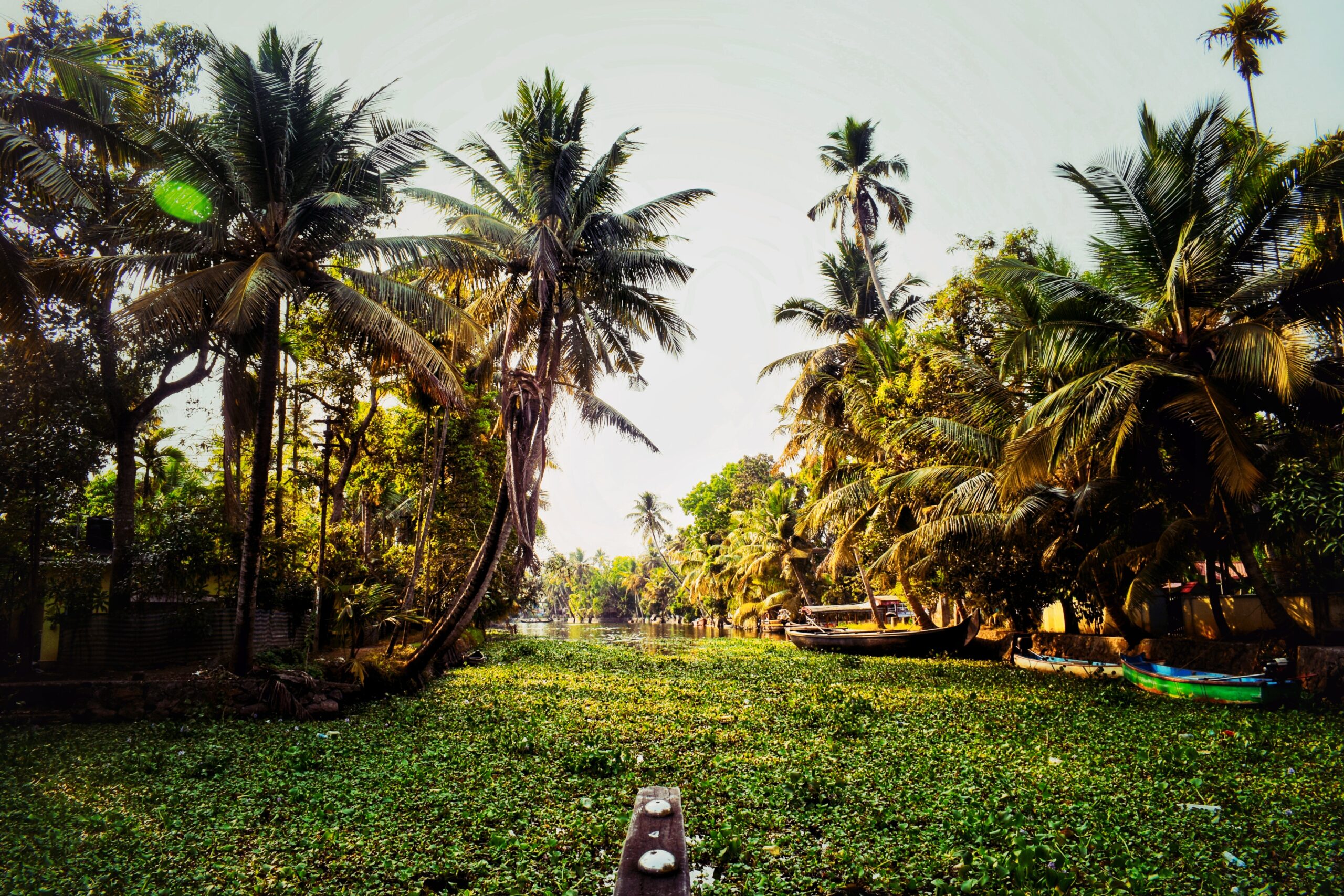 Why Alleppey Deserves a Spot on Your Travel Bucket List