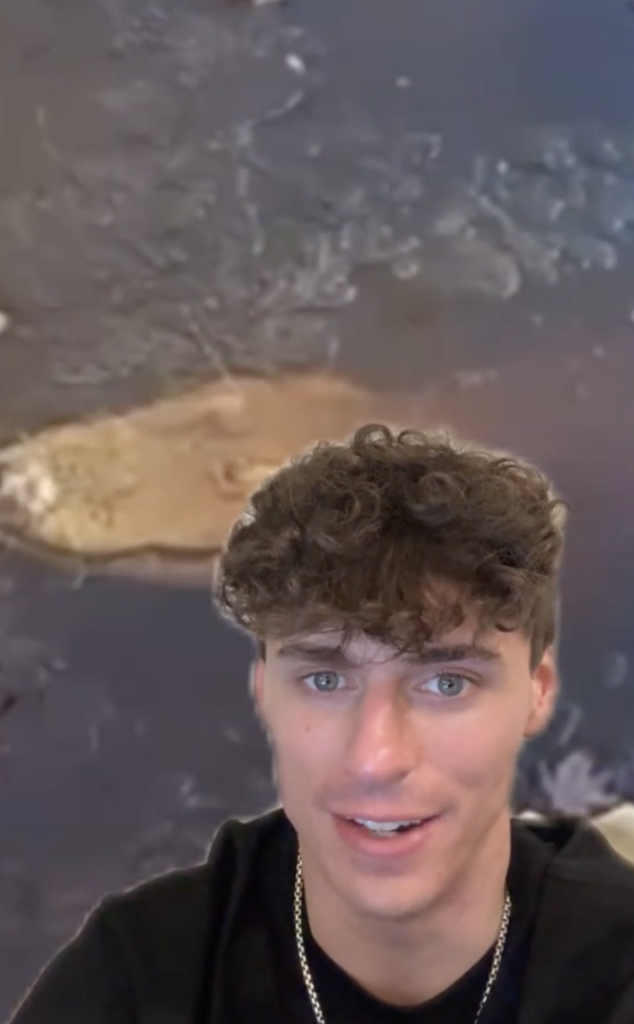 What Happens To Alligator Frozen In Ice Video