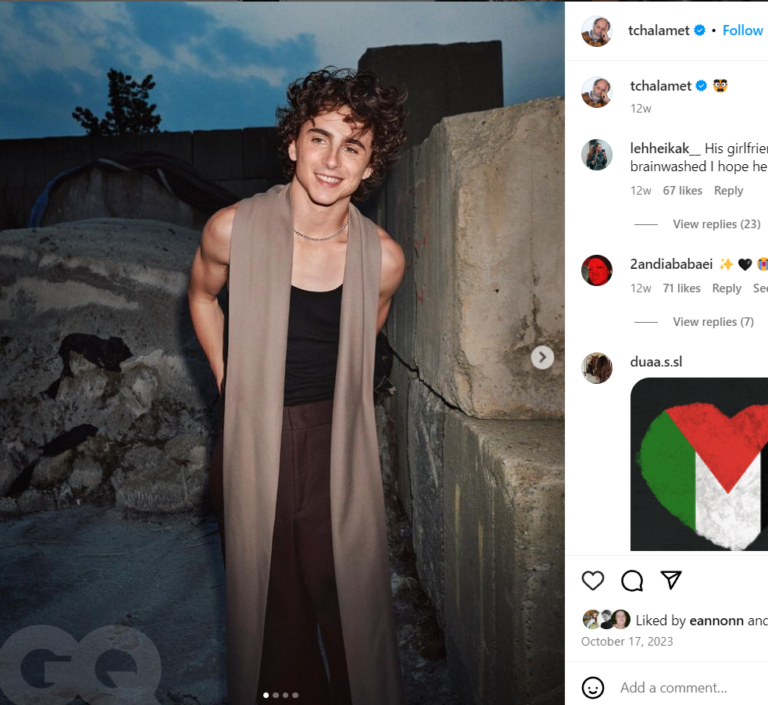 The Timothée Chalamet Style Revolution: A Closer Look at Hollywood's ...