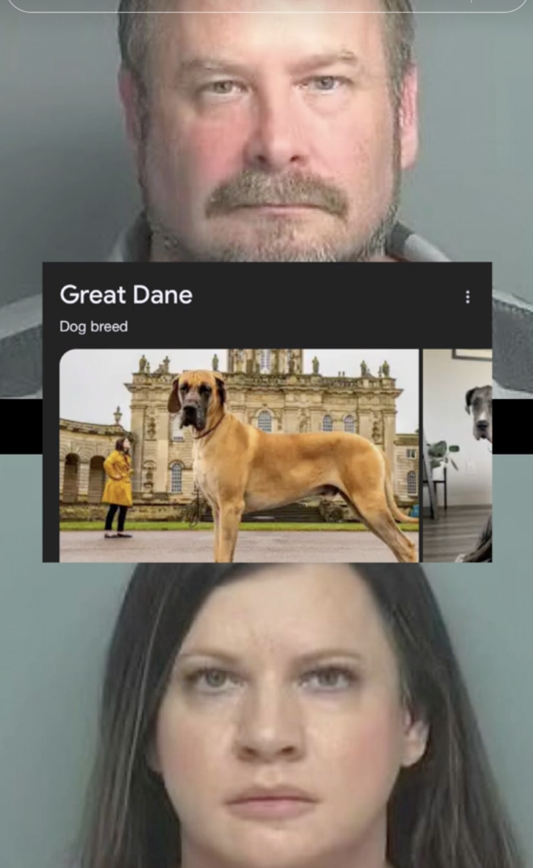 Texas Nurse Great Dane Dog Video Controversy