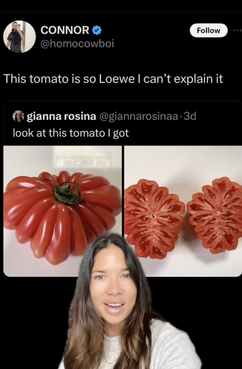 Why is Loewe Tomato Bag Going Viral?