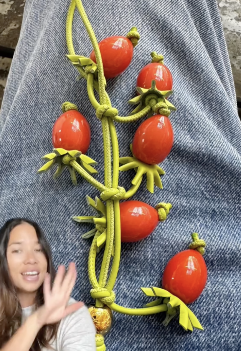 Why is Loewe Tomato Bag Going Viral?