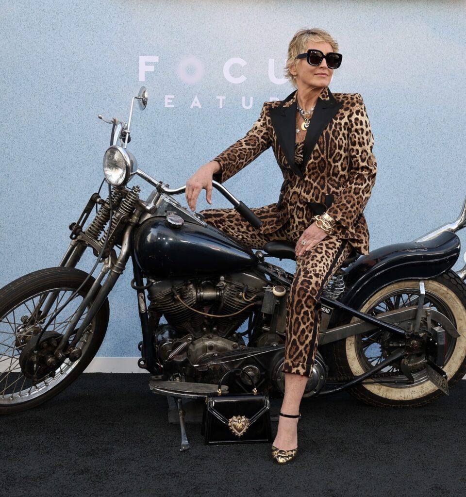 The Bikeriders Movie Where to Watch