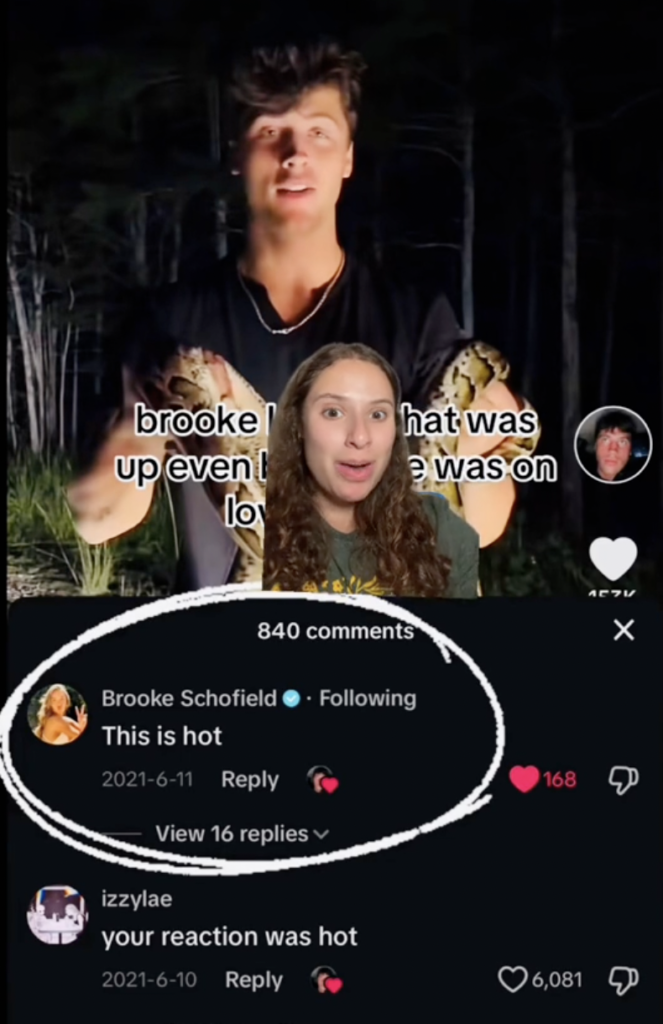 Did Rob Love Island USA And Brooke Schofield Date?