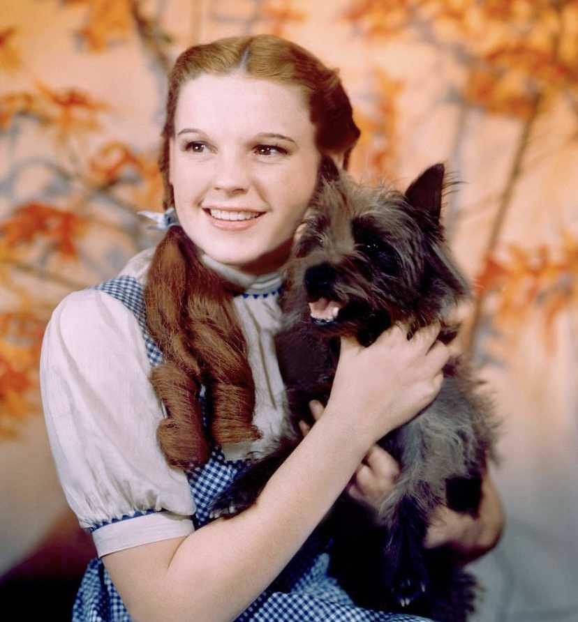Ruby Slippers Sold at Groundbreaking Price Auction