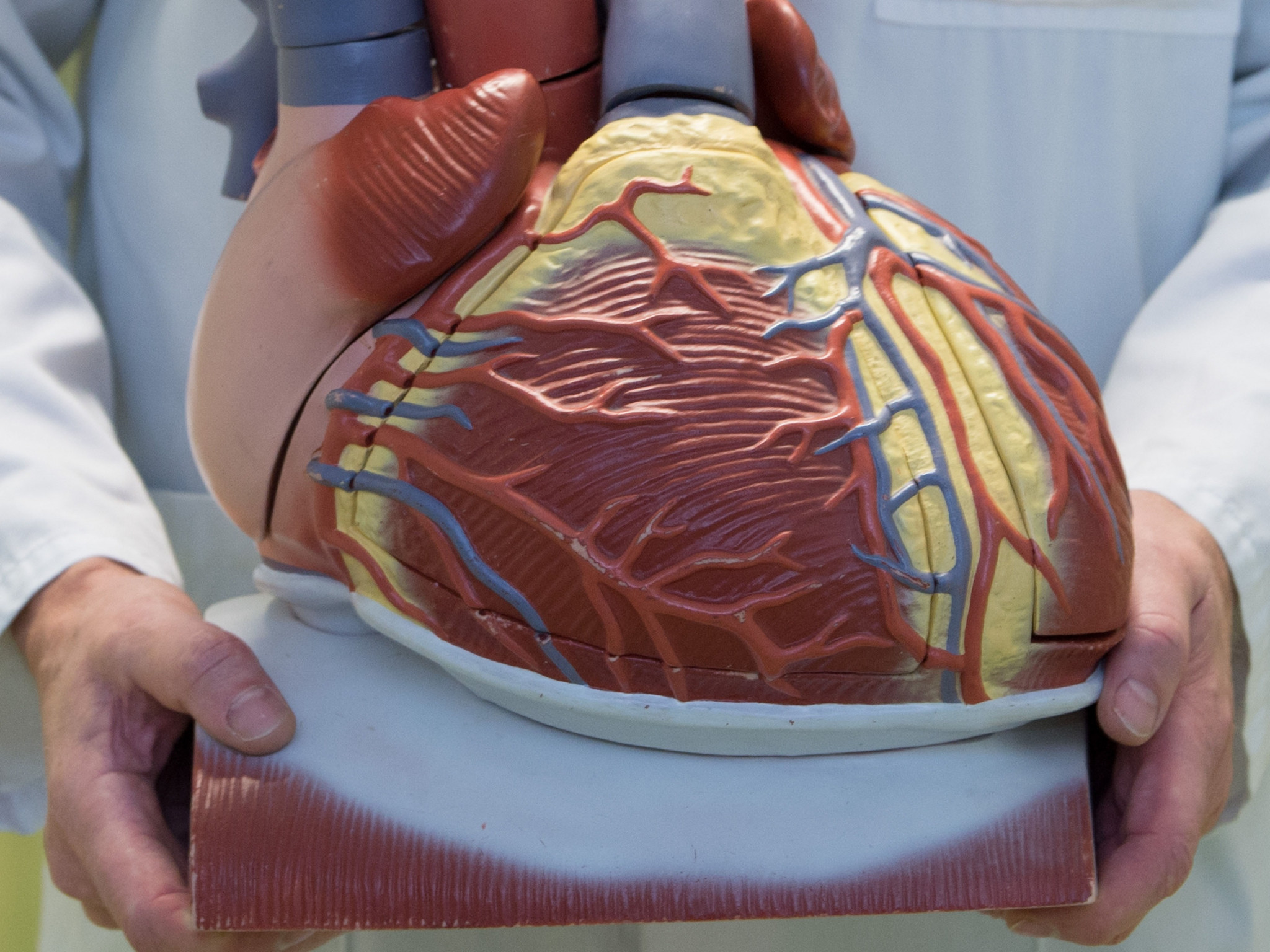 Lab-Grown Heart Patch: A Breakthrough in Heart Failure Treatment