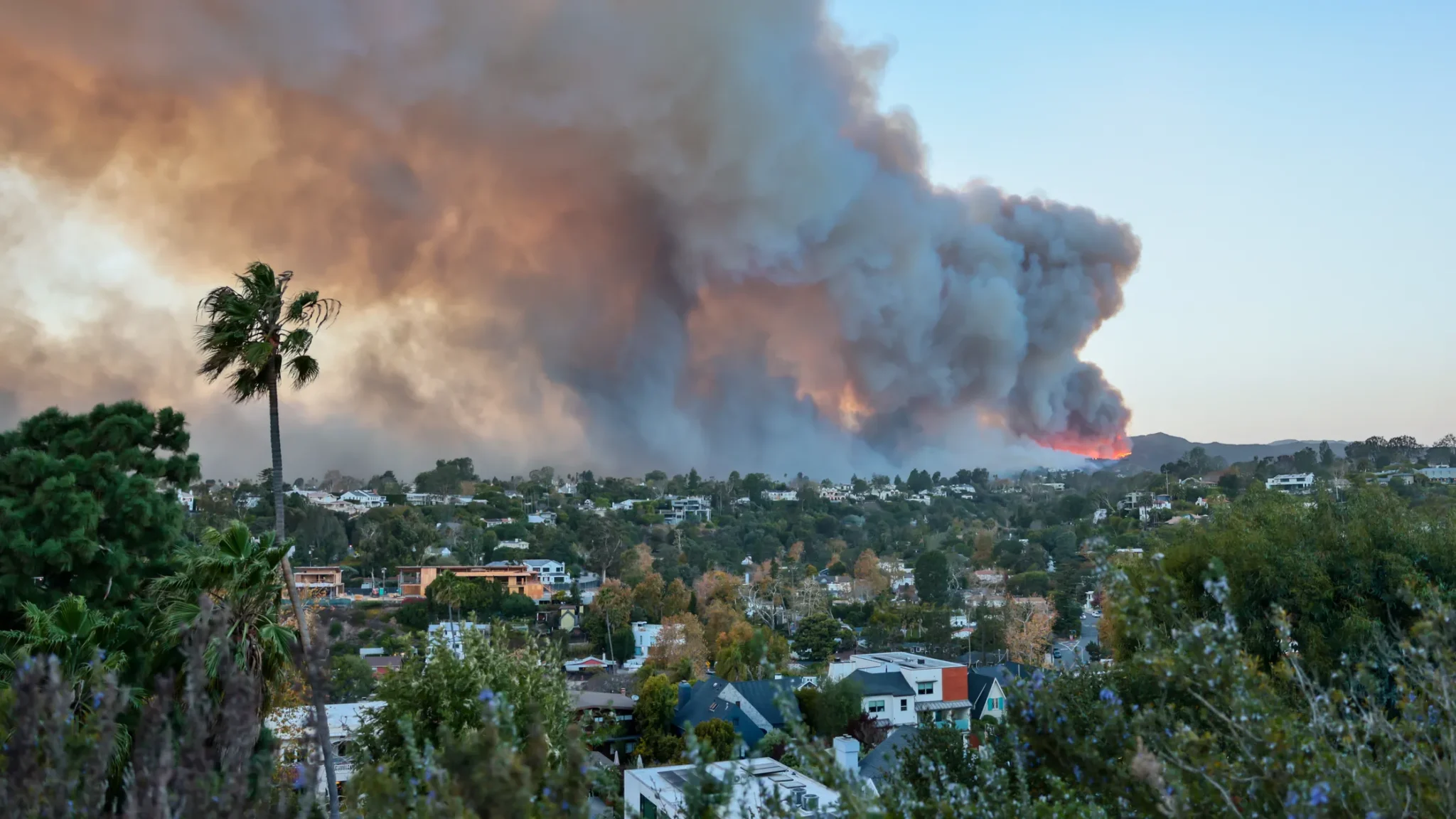Top Places Still Taking Donations for L.A. Fires