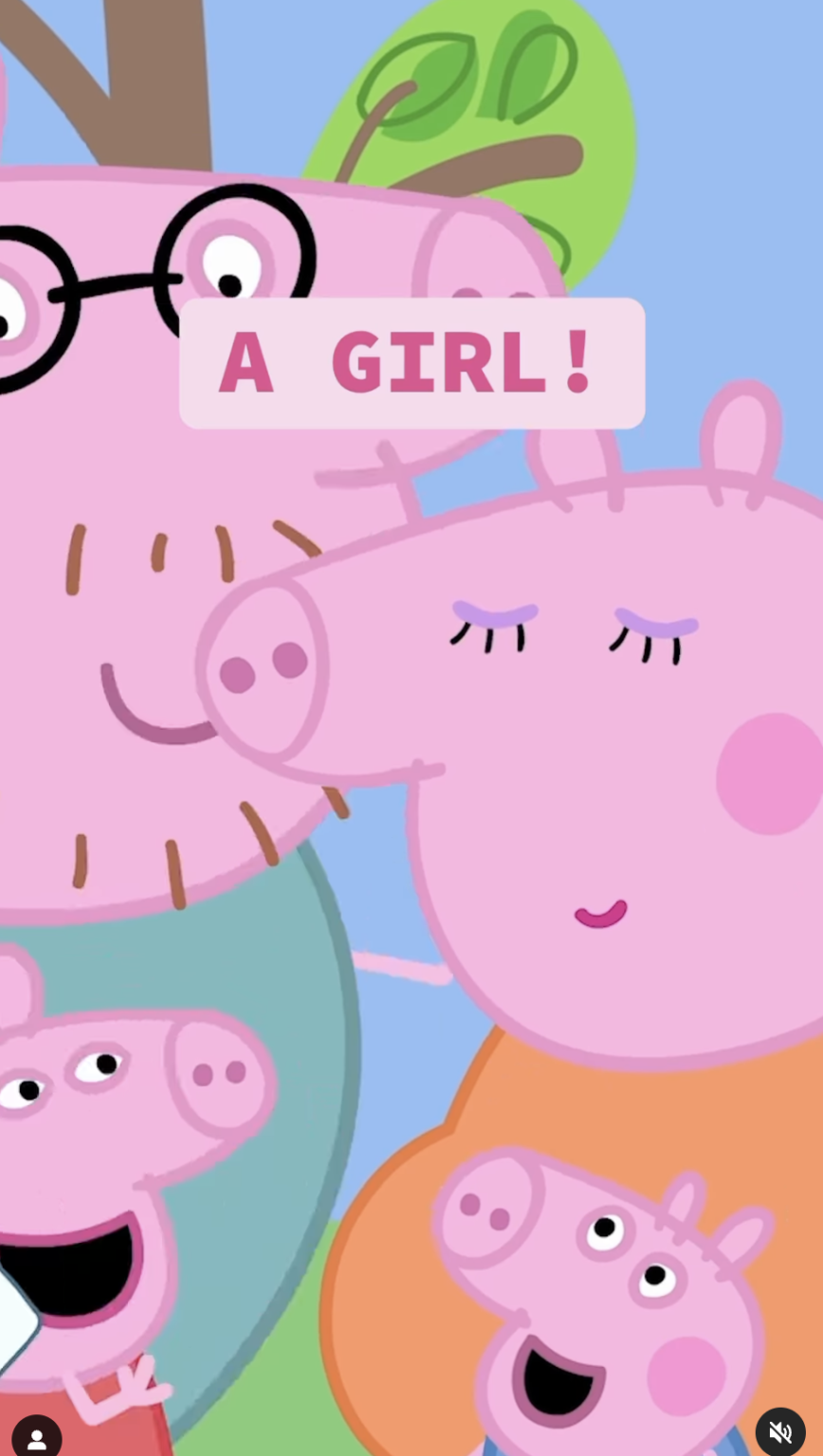 Mummy Pig New Baby Girl Gender Reveal Peppa Pig