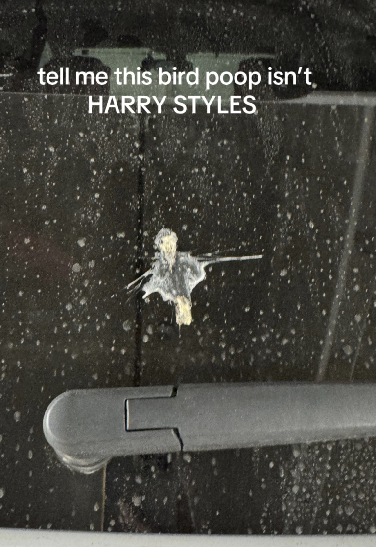 Harry Styles Bird Poop Photo TikTok Goes Viral